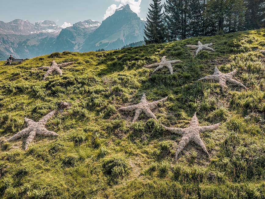 Engelberg Titlis: Hiking