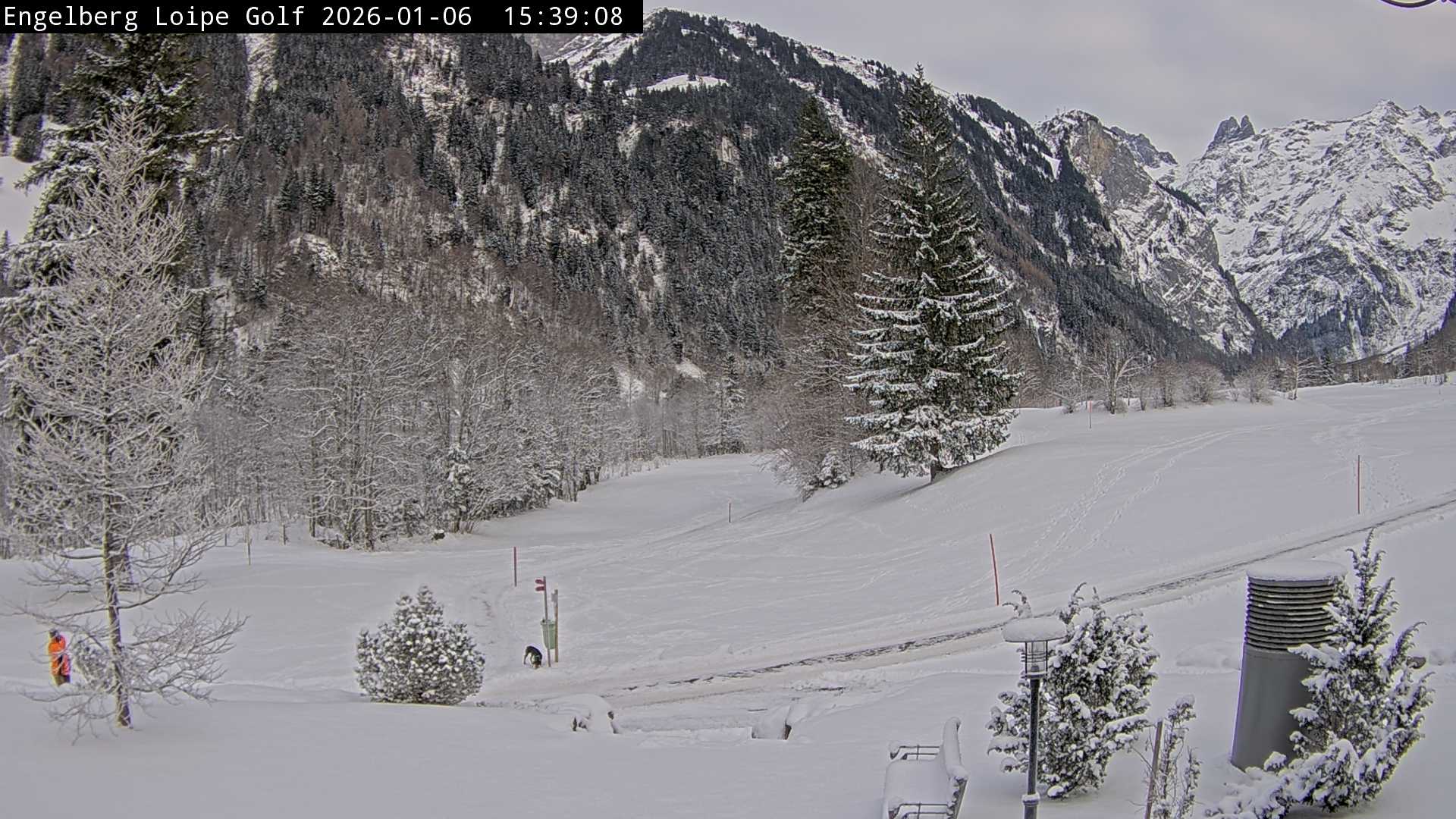 Engelberg Titlis: Webcams